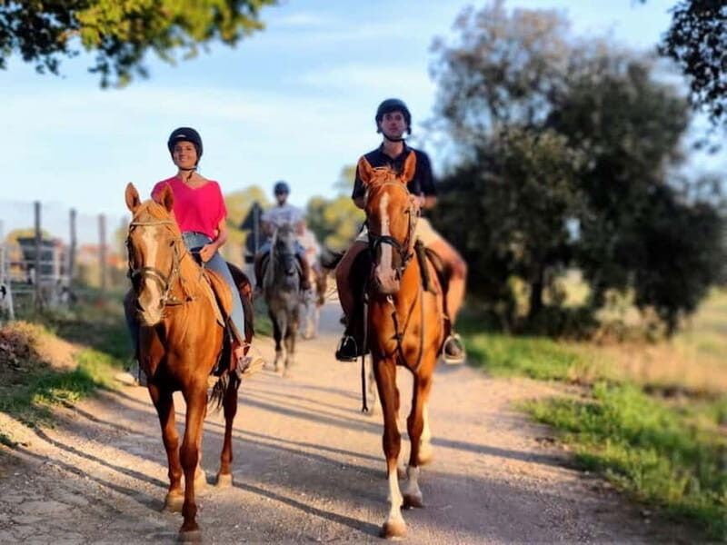 Middle day out of Rome: horsback riding adventure with meals - Key Points