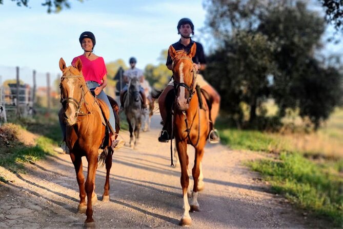 Middle day out of Rome on Horseback with meals included - Authentic Reviews from Past Participants