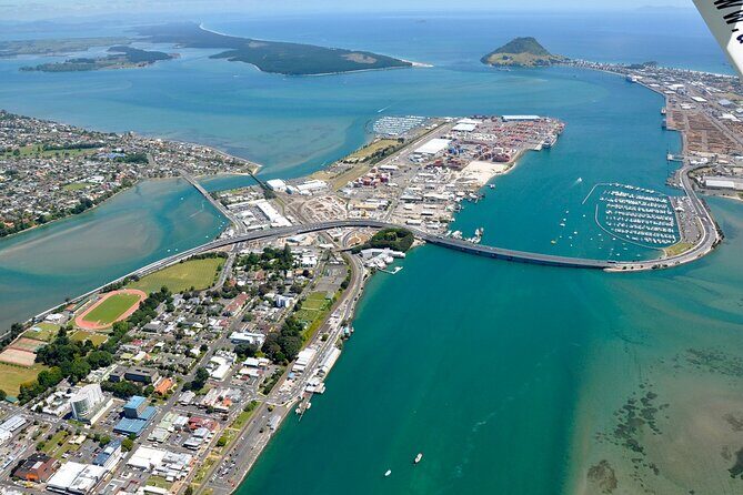 Middle Earth Private Tour from Tauranga Cruise Port. Tickets incl - Final Thoughts