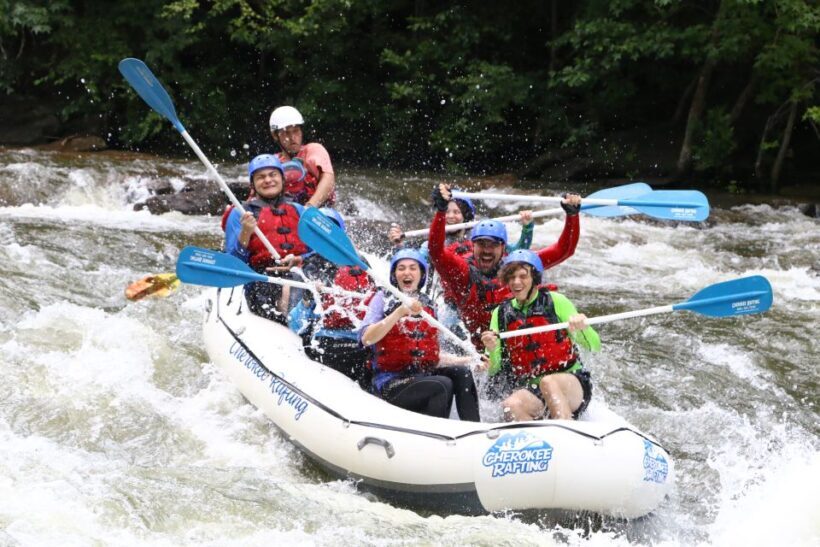 Middle Ocoee River Whitewater Rafting Trip - Most Popular - Who Should Consider This Tour?