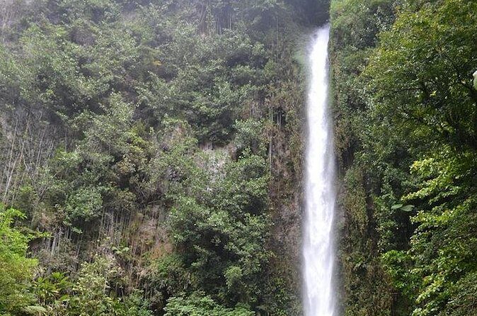 Middleham Falls Hike and Ti'tou Gorge Half-Day Excursion - FAQs