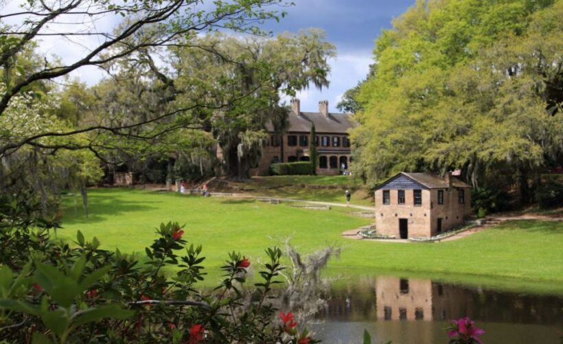Middleton Place Plantation Tour - Authentic Reviews from Visitors