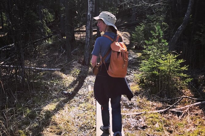 Midnight Sun and Campfire - National Park evening hike Stockholm - A Deep Dive into the Experience