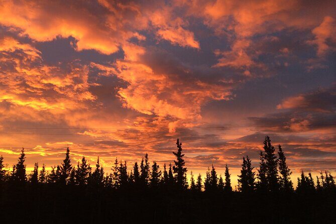 Midnight Sun ATV Adventure 2.5 Hour Tour - Exploring Denali on an ATV: What You Can Expect