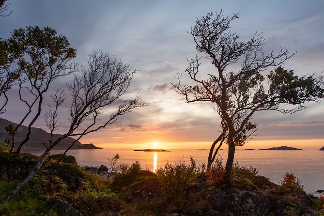 Midnight Sun Campfire Tour From Tromso - Guides and Tour Information