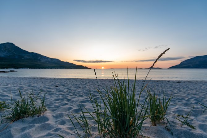 Midnight Sun Campfire Tour From Tromso - Guest Reviews and Ratings