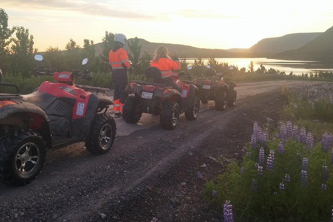Midnight Sun Safari on Quads - Traveler Experiences and Feedback