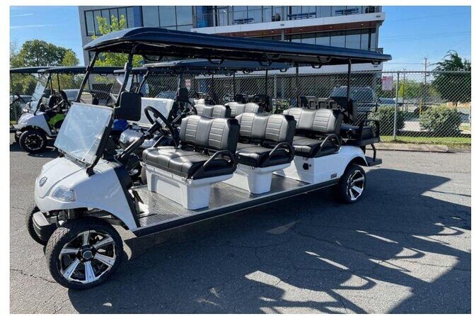 Midtown New York Sightseeing Tour in a Luxury Golf Cart LSV - Who Should Consider This Tour?