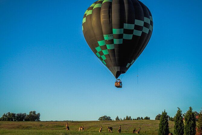 Midweek Hot Air Balloon Flight at Hunter Valley - What to Expect: A Step-by-Step Guide