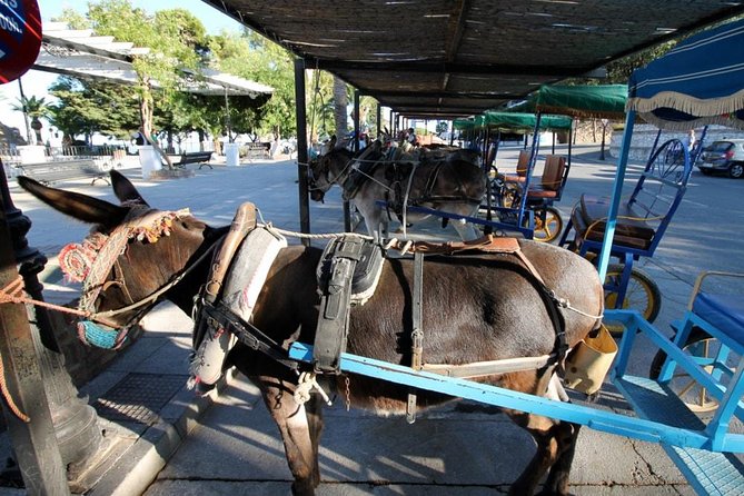 Mijas Private Walking Tour - Scenic Views and Free Time