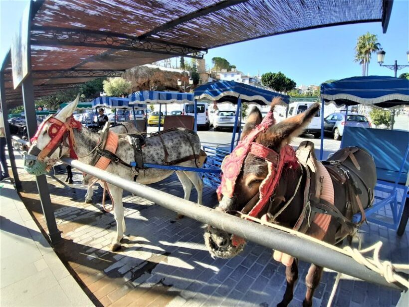 Mijas Pueblo: Private trip from Costa del Sol - Who should consider this tour?