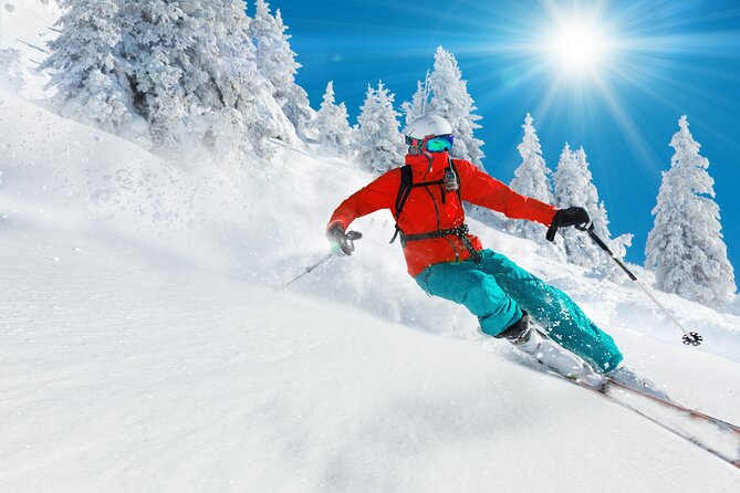 Milan Airport to Zermatt Private Transfer - Who Is This Transfer Best For?