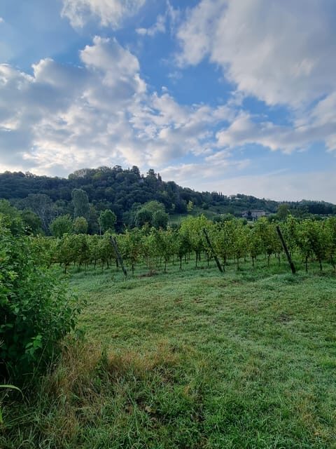 Milan: Bergamo High Town and Wine Tasting Tour - Starting Point in Milan
