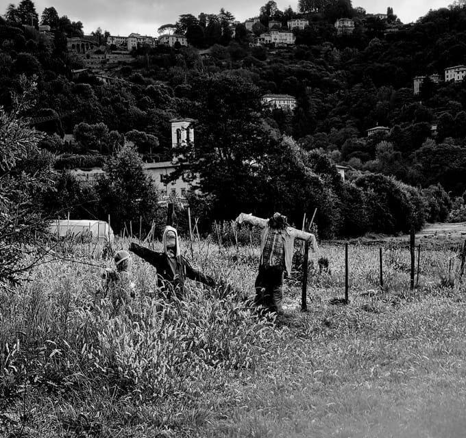 Milan: Bergamo High Town and Wine Tasting Tour - Wine Tasting at a Boutique Winery