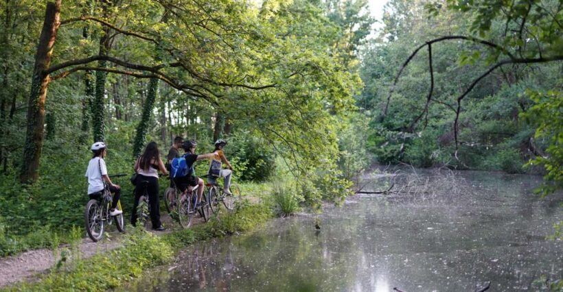 Milan: Bike Tour with Picnic on the turtle lake - A Closer Look at the Itinerary and Experience