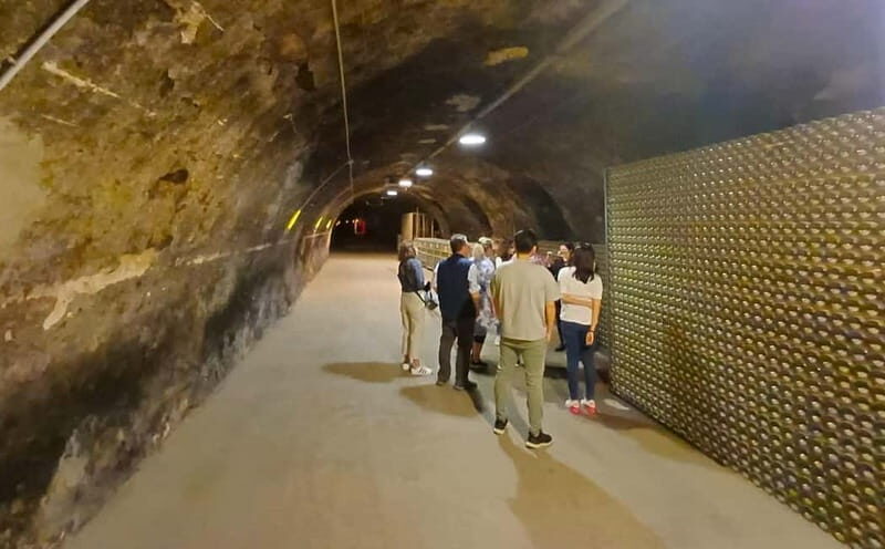Milan: Brescia & Franciacorta with Wine Tasting Small Group - Who Will Love This Tour?