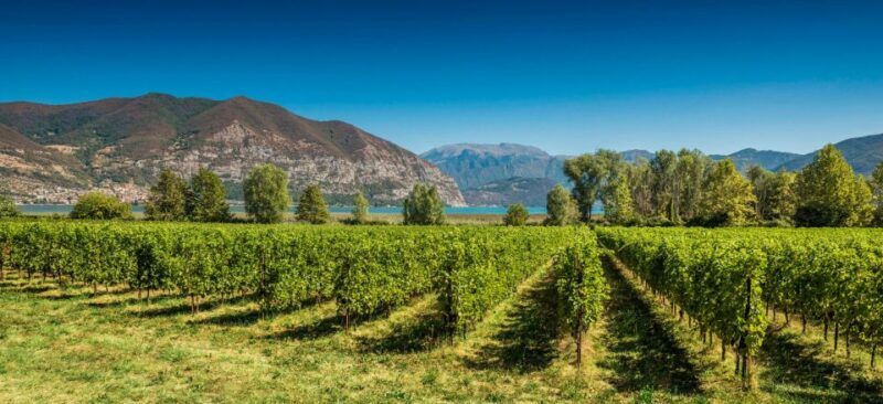 Milan: Franciacorta Winery and Bergamo Day Trip with Lunch - Authentic Experiences Highlighted by Travelers