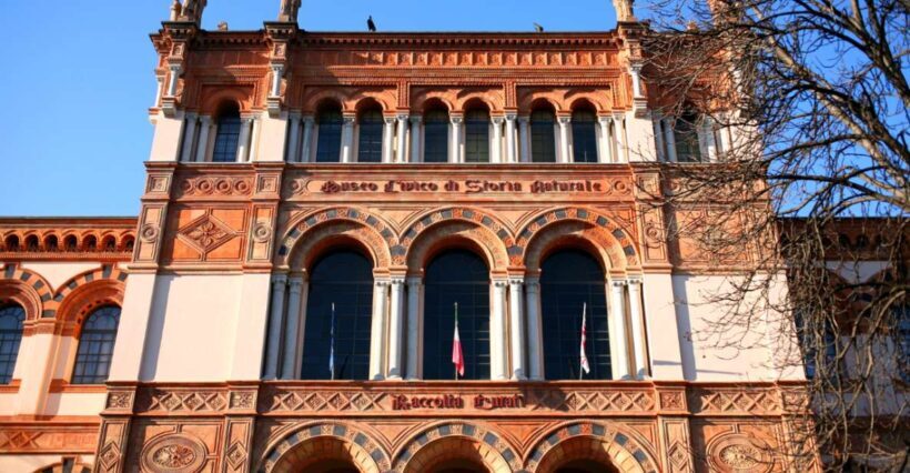 Milan: Natural History Museum Entry Ticket & Audio Guide - A Closer Look at the Experience
