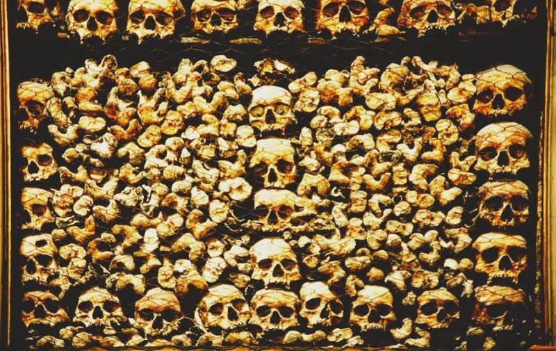 Milan Off-the-Beaten-Path Private Walking Tour - What to Expect and Practical Tips