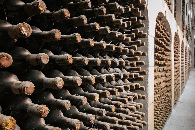 Milestii Mici Underground Winery Tour INCLUDING Wine Tasting - Accessibility and Inclusions
