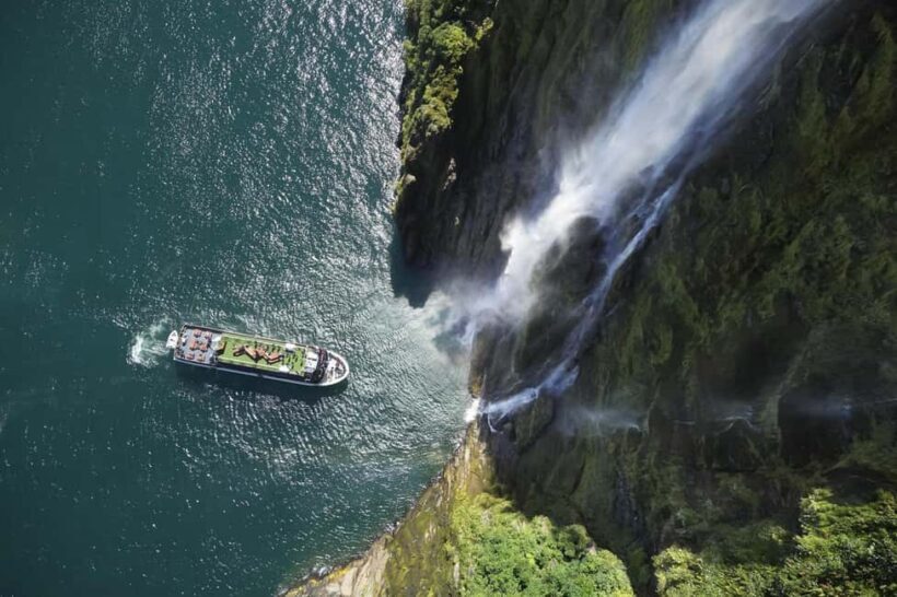 Milford Sound: 2-Hour Wildlife & Nature Cruise - The Sum Up: Who Should Consider This Cruise?