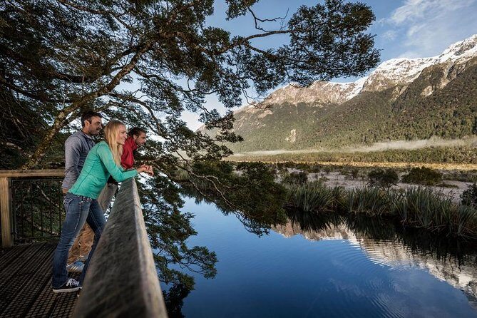 Milford Sound Coach and Cruise Tour from Queenstown with Flyback - Analyzing the Value