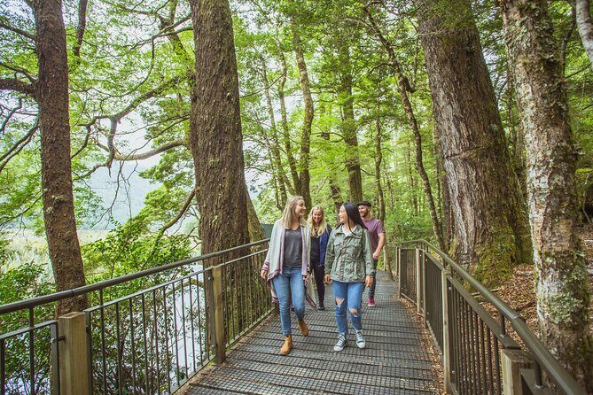 Milford Sound Coach & Cruise Tour from Te Anau - An In-Depth Look at the Milford Sound Coach & Cruise Experience