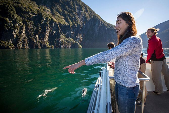 Milford Sound Cruise: Stunning Views & Optional Picnic or Buffet - Final Thoughts: Is This Tour for You?