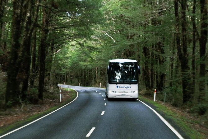 Milford Sound Day Tour from Te Anau - An In-depth Look at the Milford Sound Day Tour