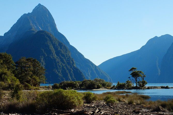 Milford Sound Discovery Tour - The Itinerary: A Thoughtful Journey through Some of New Zealand’s Most Stunning Scenery