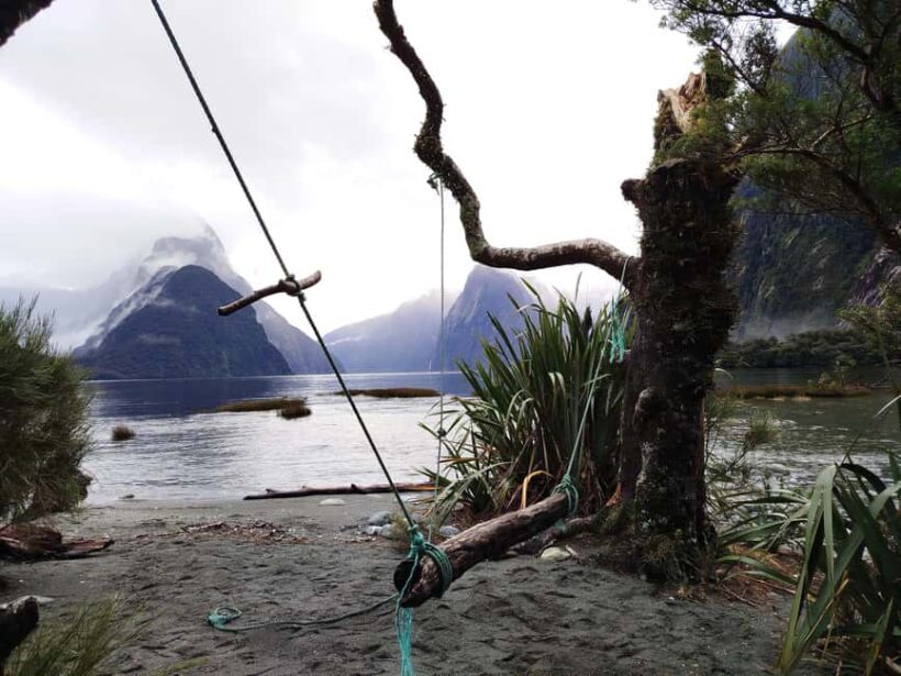 Milford Sound, Mount Cook & More: 4 Day Tour from Auckland - Key Points
