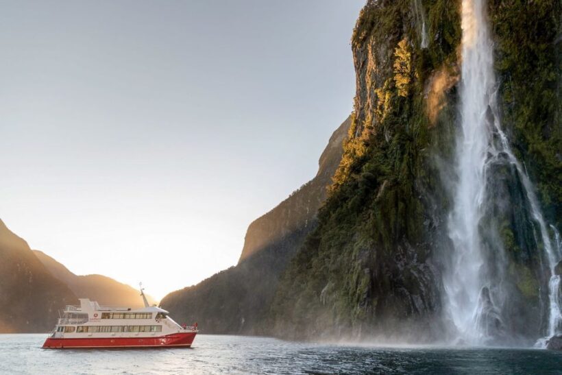 Milford Sound: Nature Cruise - Grand Views & Optional Lunch - The Sum Up