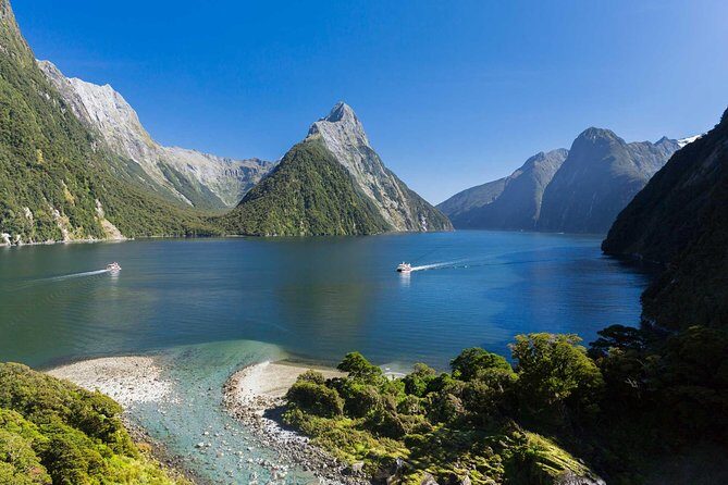 Milford Sound Premium Coach and Cruise with Lunch from Te Anau - Journey Through Fiordland: What to Expect