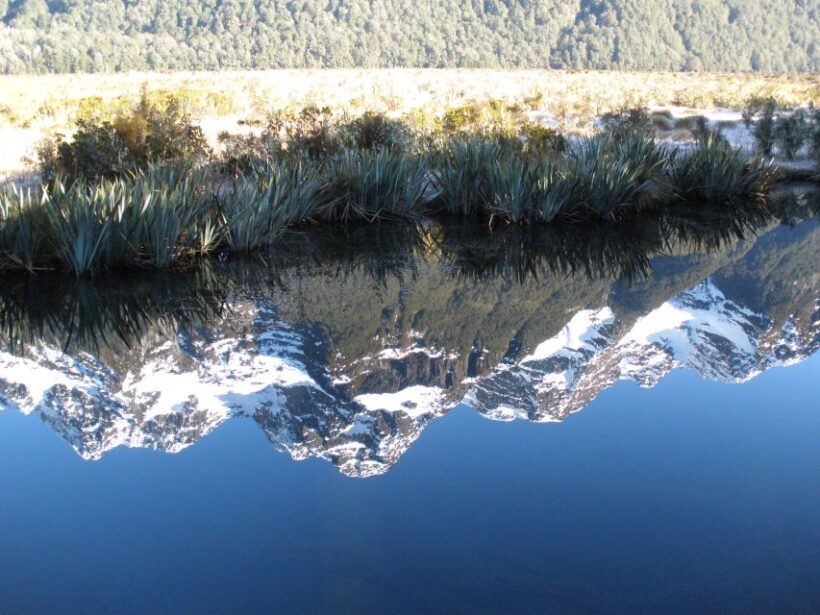 Milford Sound Premium Day Tour and Cruise from Te Anau - Setting the Scene: What to Expect from the Tour