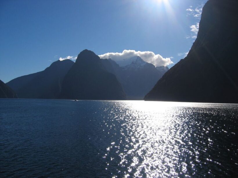 Milford Sound Premium Day Tour and Cruise from Te Anau - FAQ