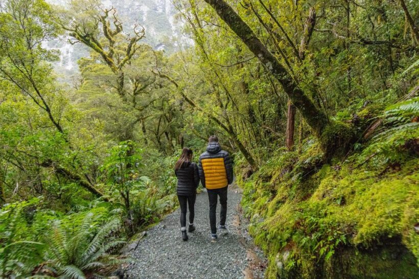Milford Sound: Premium Small Group Tour from Queenstown - The Value of a Small Group Tour