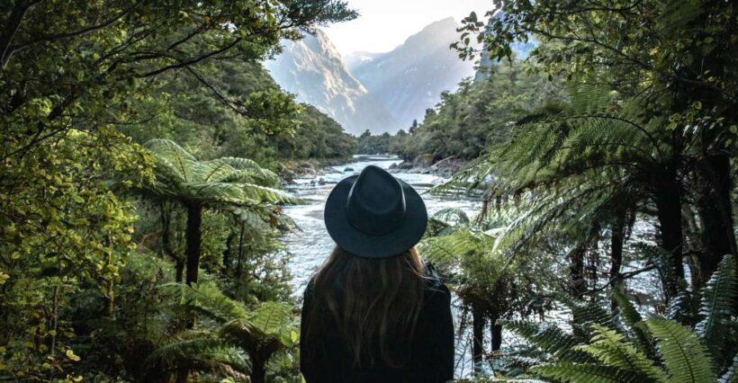 Milford Sound: Self-Guided Milford Track Day Walk - An In-Depth Look at the Milford Track Self-Guided Walk