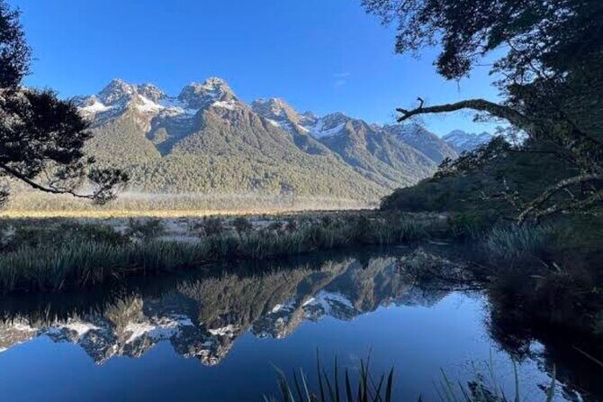 Milford Sound Small Group Day Tour From Queenstown - Key Points