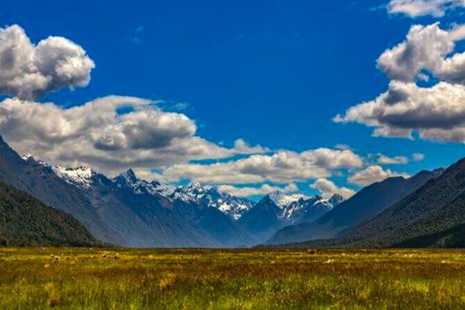 Milford Sound Small Group Day Tour From Queenstown - An In-Depth Look at the Milford Sound Small Group Tour