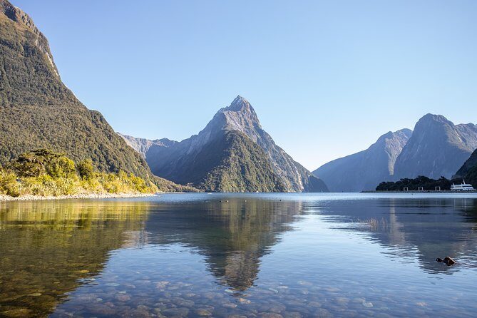Milford Sound Small Group Tour from Queenstown with Scenic Flight - The Scenic Highlights: Why This Tour Stands Out