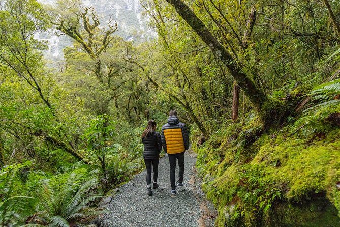 Milford Sound Small Group Tour from Queenstown with Scenic Flight - Who Should Consider This Tour?