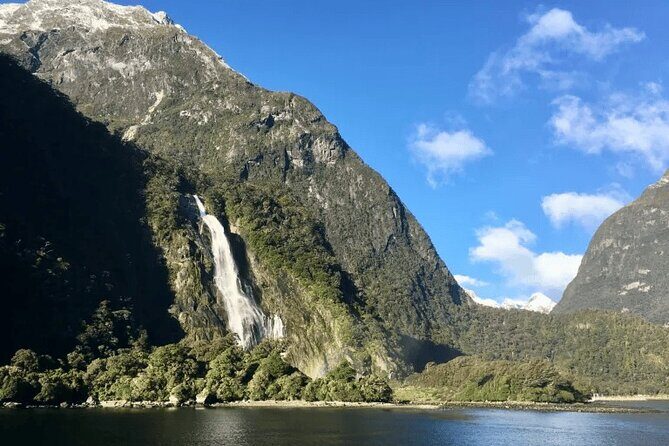 Milford Sound Tour from Queenstown with Scenic Cruise - What Travelers Are Saying
