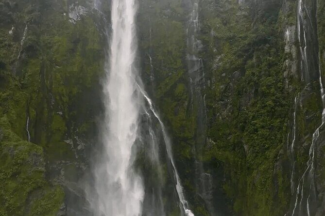 Milford Sound Tour from Queenstown with Scenic Cruise - Who Will Love This Tour?