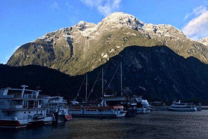 Milford Sound Tour from Queenstown with Scenic Cruise - The Sum Up