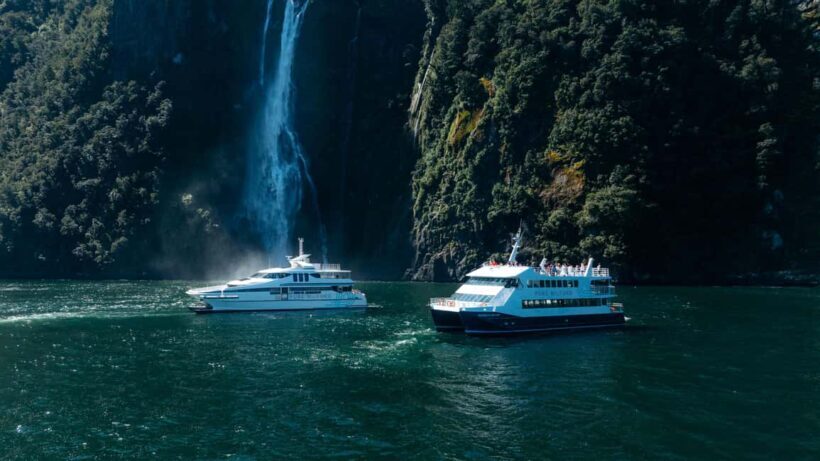 Milford Sound: Waterfalls, Wildlife, and Rainforest Cruise - Starting Point and Overall Experience