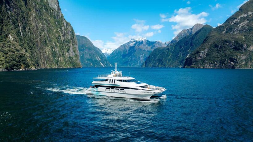 Milford Sound: Waterfalls, Wildlife, and Rainforest Cruise - Wildlife Watching: Seals, Dolphins, and Penguins