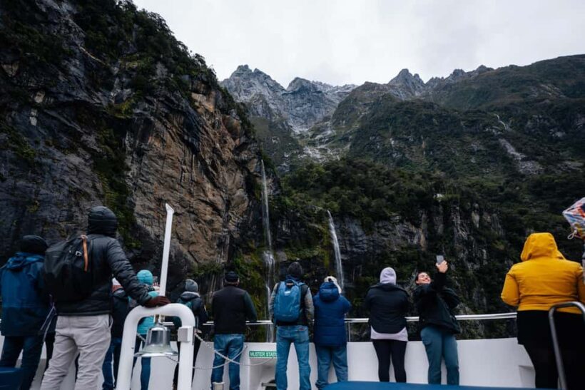 Milford Sound: Waterfalls, Wildlife, and Rainforest Cruise - Pricing and Value
