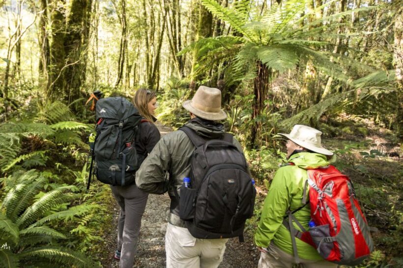 Milford Track: Full Day Guided Hike and Nature Cruise - The Sum Up