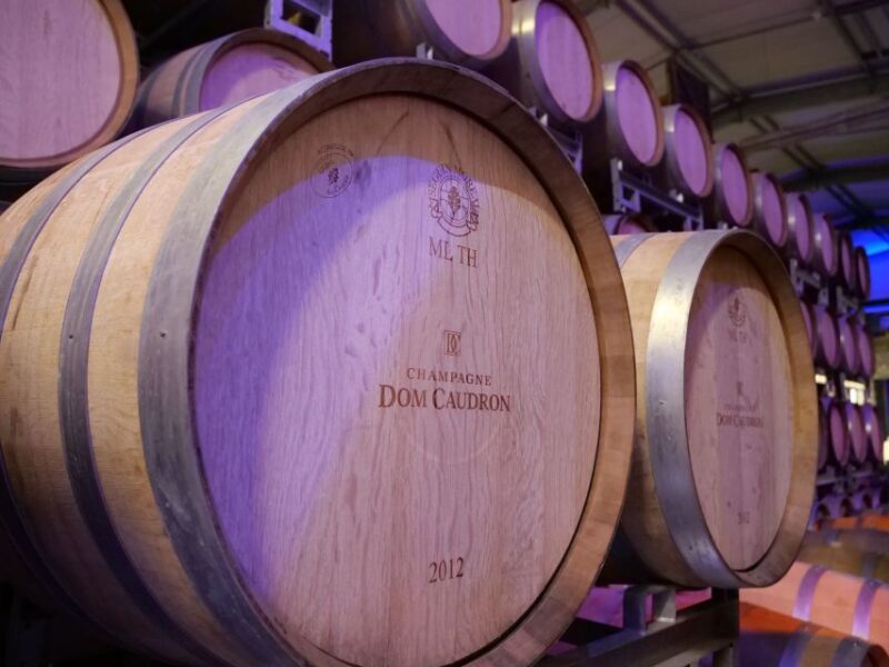 Miller Experience - Tour in French - Champagne Passy-Grigny - Highlights of the Tour