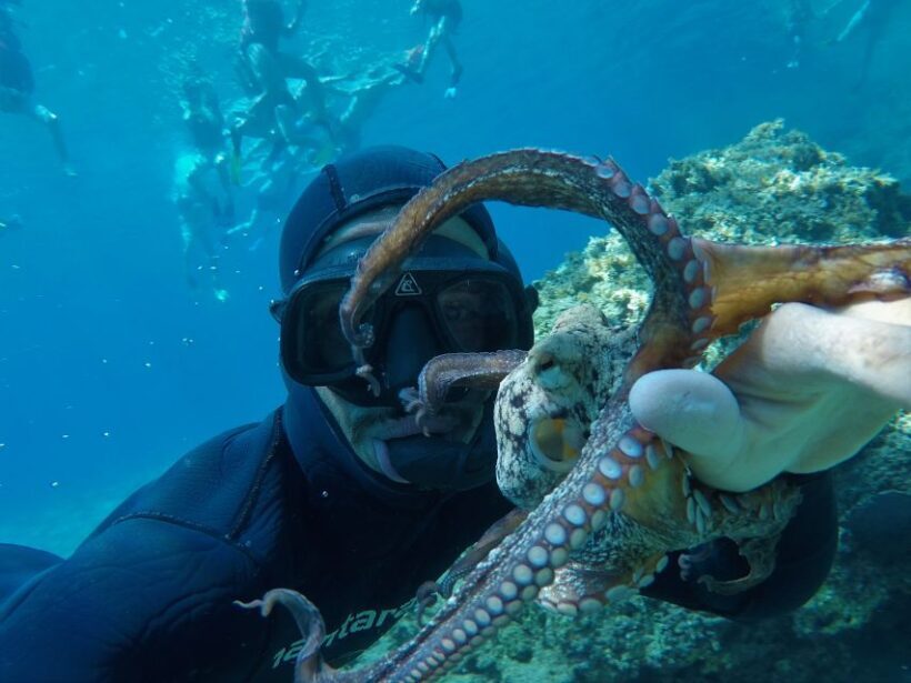 Milos: Half-Day Speedboat Cruise to Klefiko with Snorkeling - Practical Details and Tips